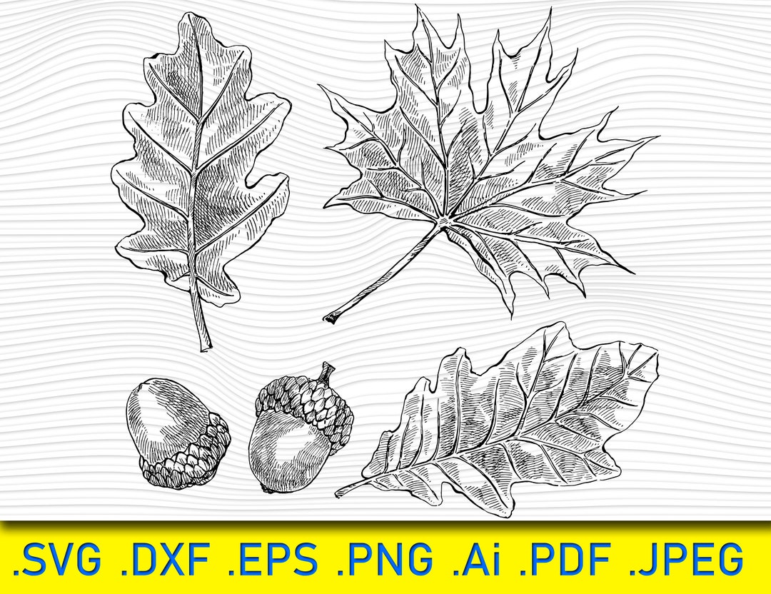 Realistic Autumn Leaves SVG, Fall Plants Clipart (digital Download) - Etsy