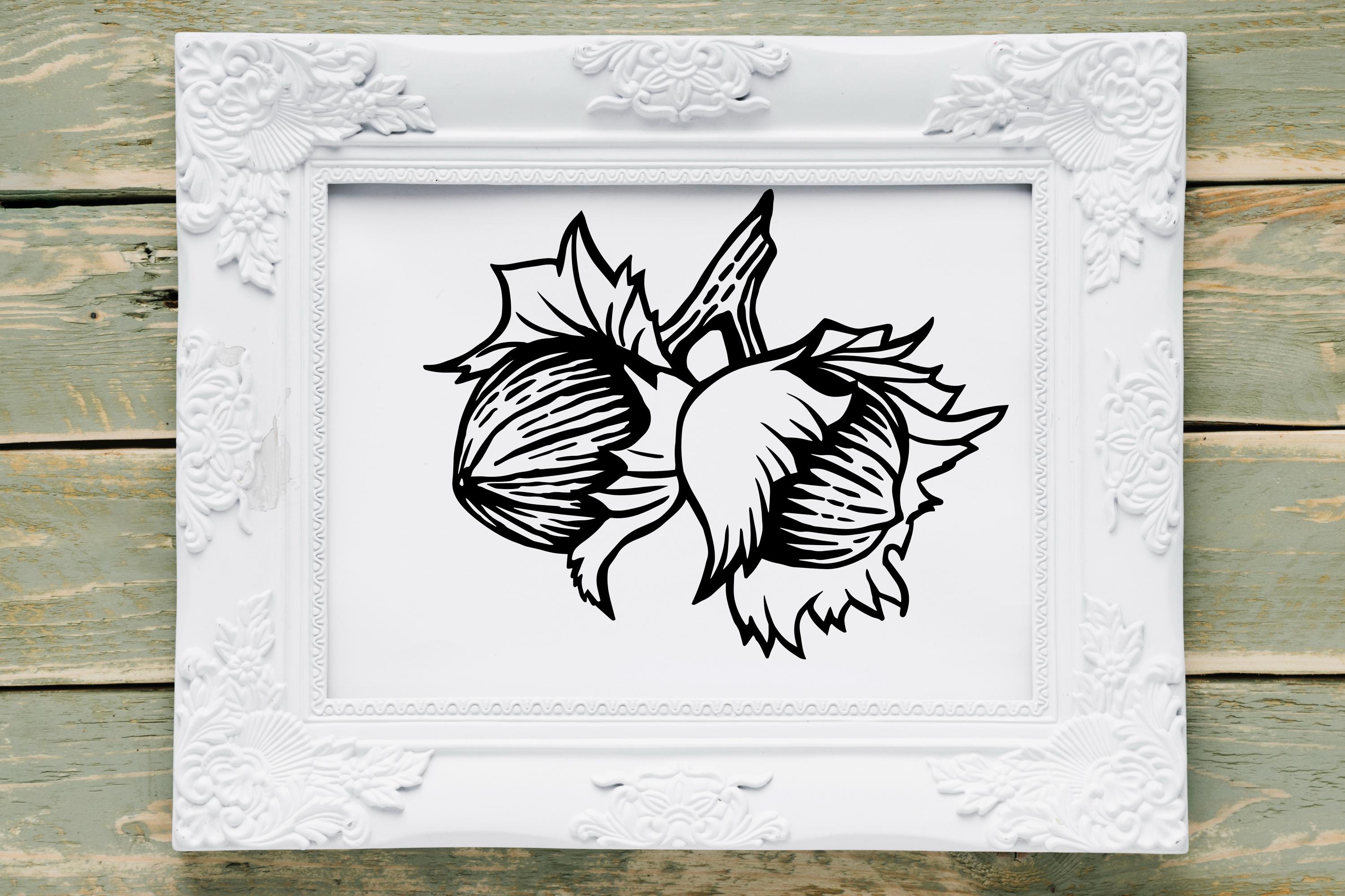 Hazelnut Engraving: Nut SVG Bundle, Vector Graphics (digital Download ...