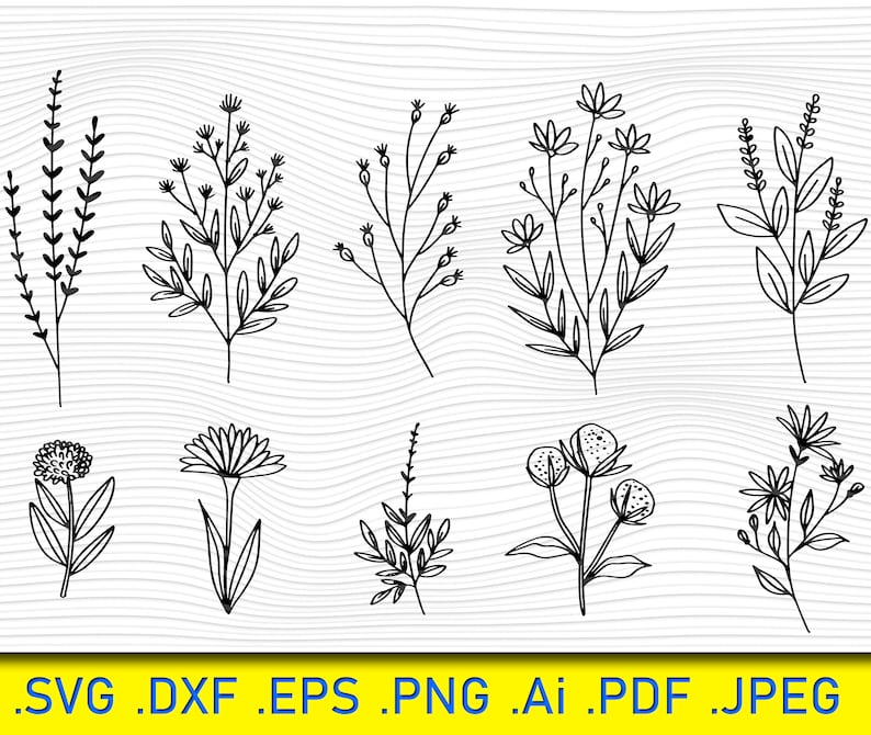 Flower SVG Hand Drawn Plants Svg Instant Download Rose SVG - Etsy