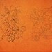 Grapevine Vector: Laser Cut Pattern, Vine Silhouette (SVG, PNG, EPS) - Etsy