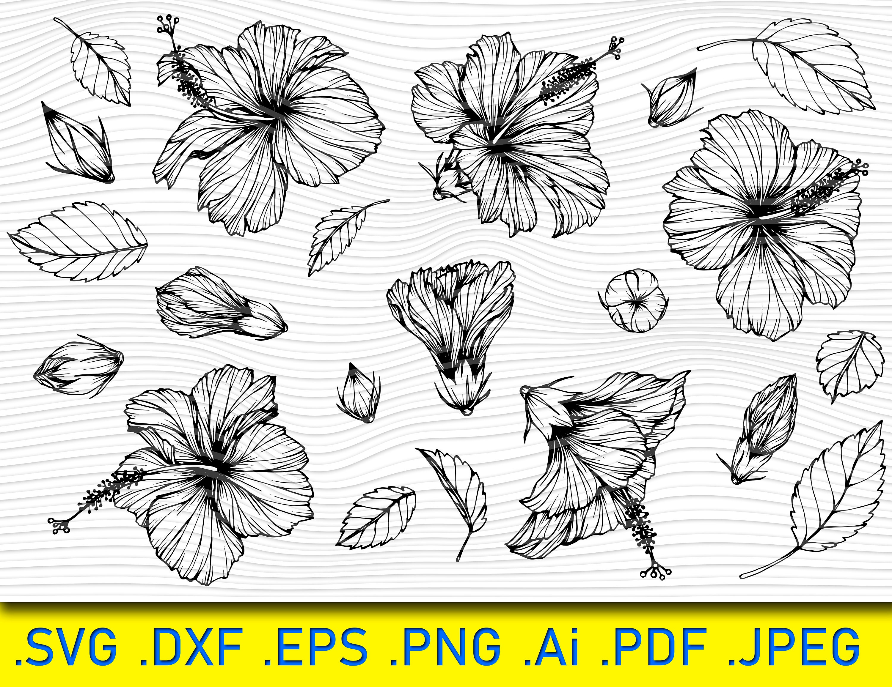 Hibiscus Svg Flower Svg Floral Svg Hibiscus Clipart - Etsy