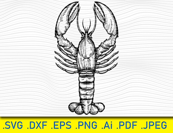 Lobster SVG Bundle Lobster Dxf Lobster Png Lobster | Etsy