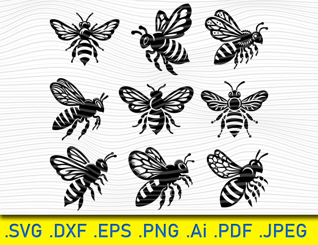 BEE SVG, Honey Svg, Queen Bee Svg, Bee Clipart, Bumble Bee Svg, Svg ...