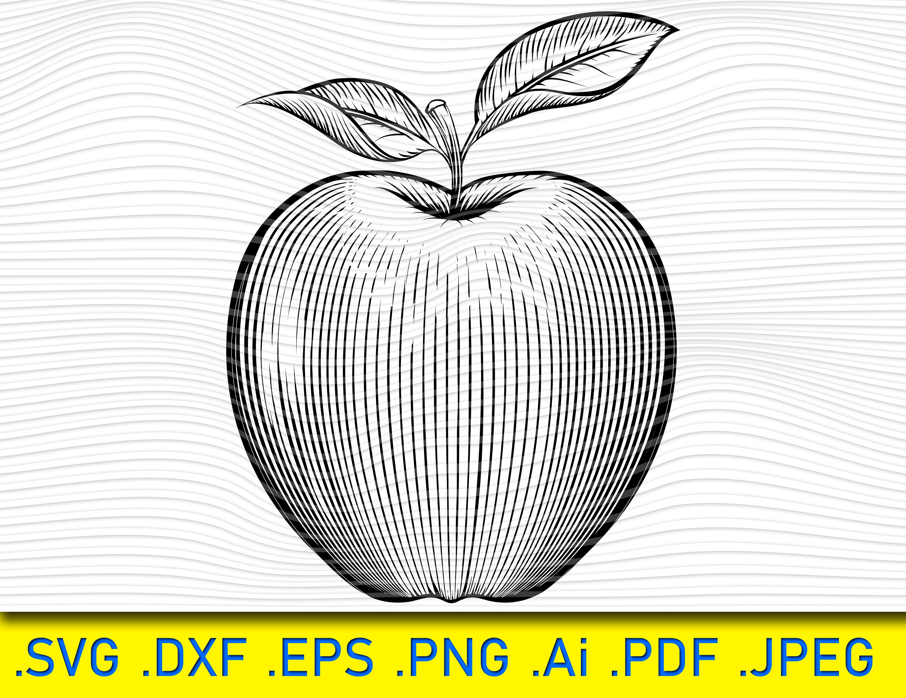 Apfel SVG Obst SVG Apple cut Datei Schule SVG Apple Shape | Etsy