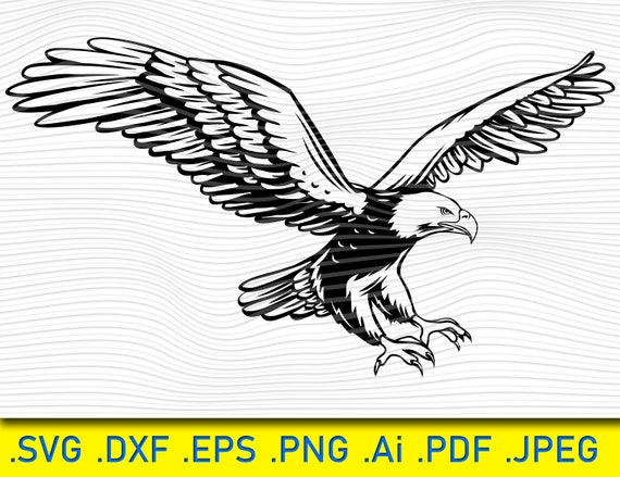 Eagle Predatory Bird Freedom Sign Bald Eagle Eagle Svg - Etsy