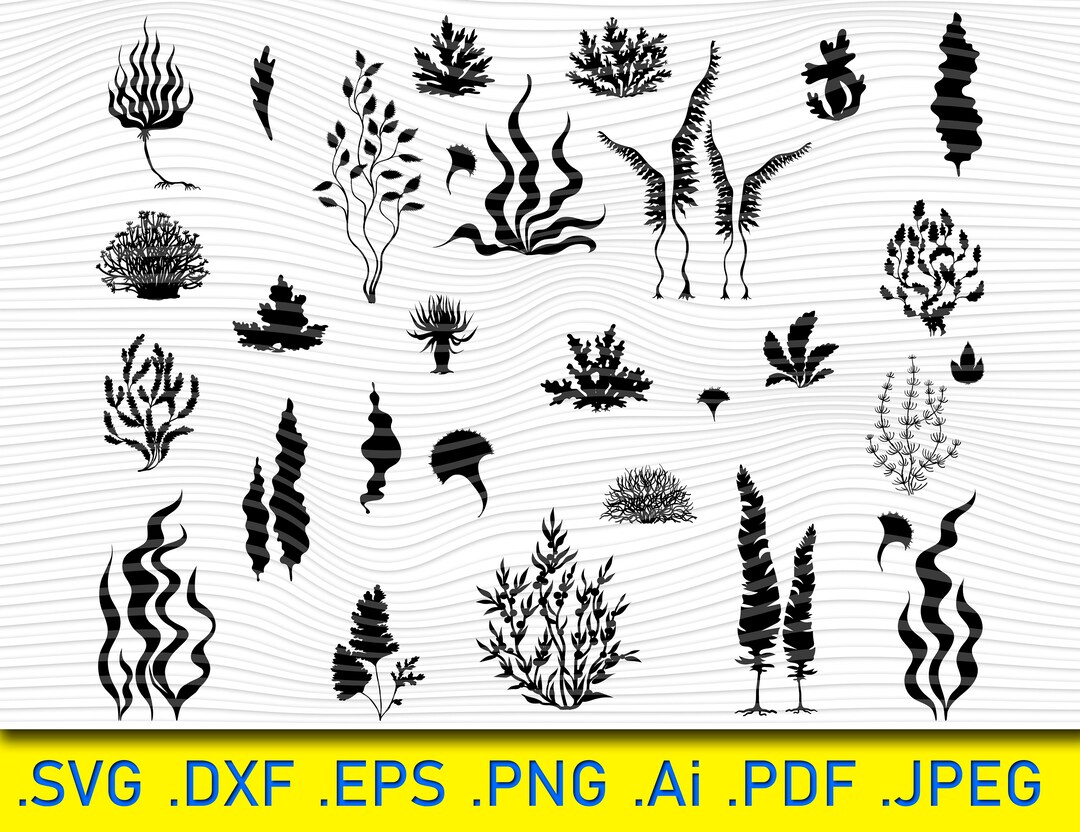 Seaweed & Coral Reef SVG Bundle: Nautical Marine Plants (digital ...