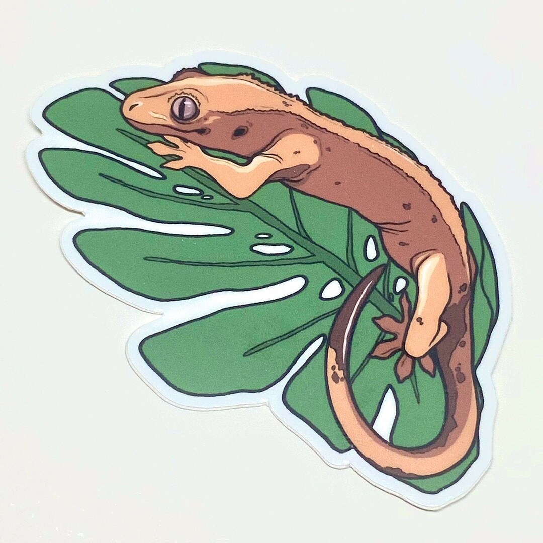 Crested Gecko Vinyl Sticker - Etsy