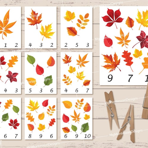 Fall Leaves Counting Cards Clip Cards Montessori - Etsy