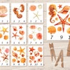 Sea Shells Counting Cards Clip Cards Montessori Printables Educational ...