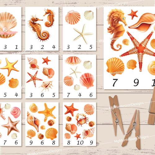 Sea Shells Counting Cards Clip Cards Montessori Printables - Etsy