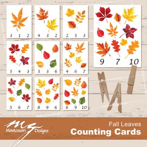 Fall Leaves Counting Cards Clip Cards Montessori | Etsy