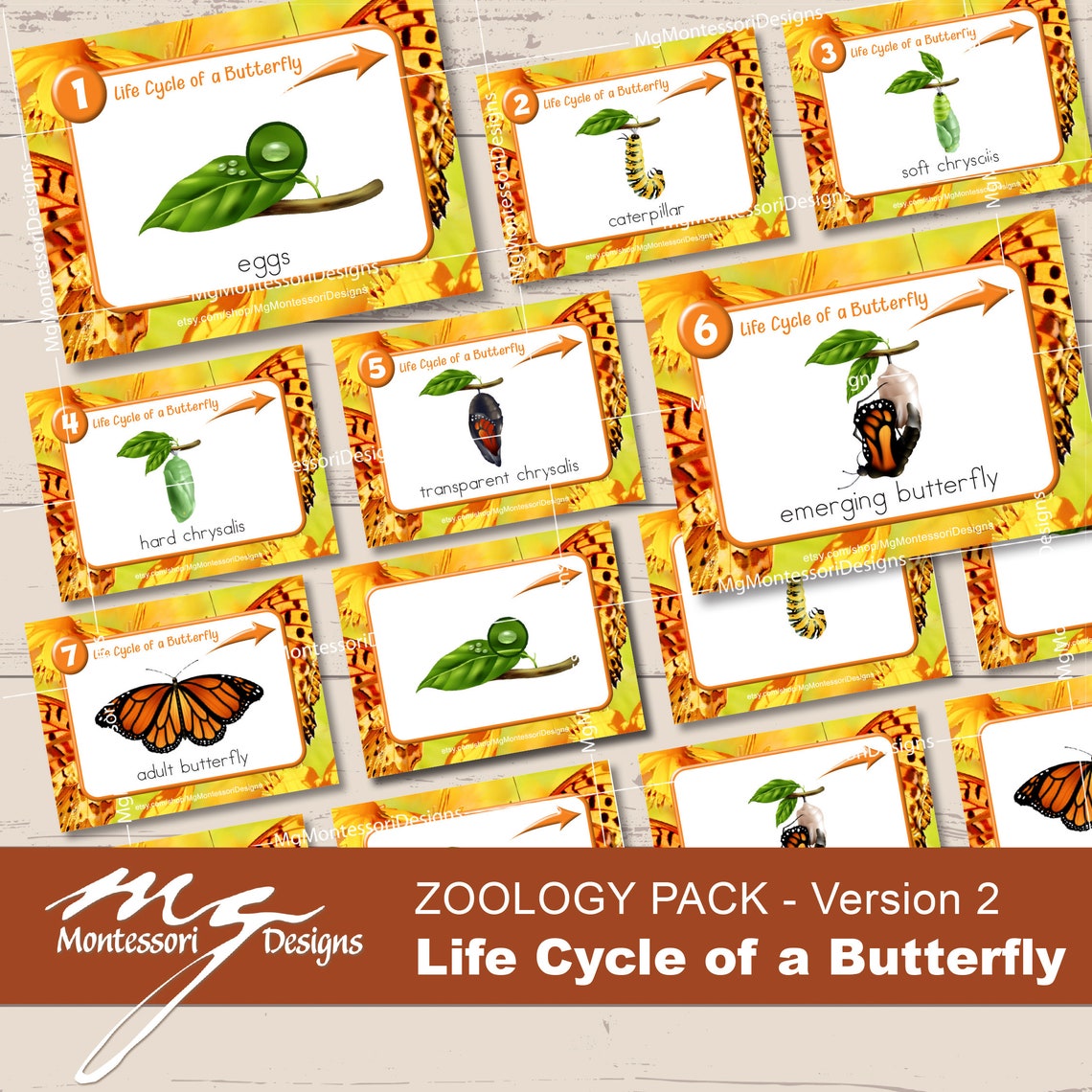 Life Cycle of a Butterfly Zoology Pack Montessori Culture Nature Study ...