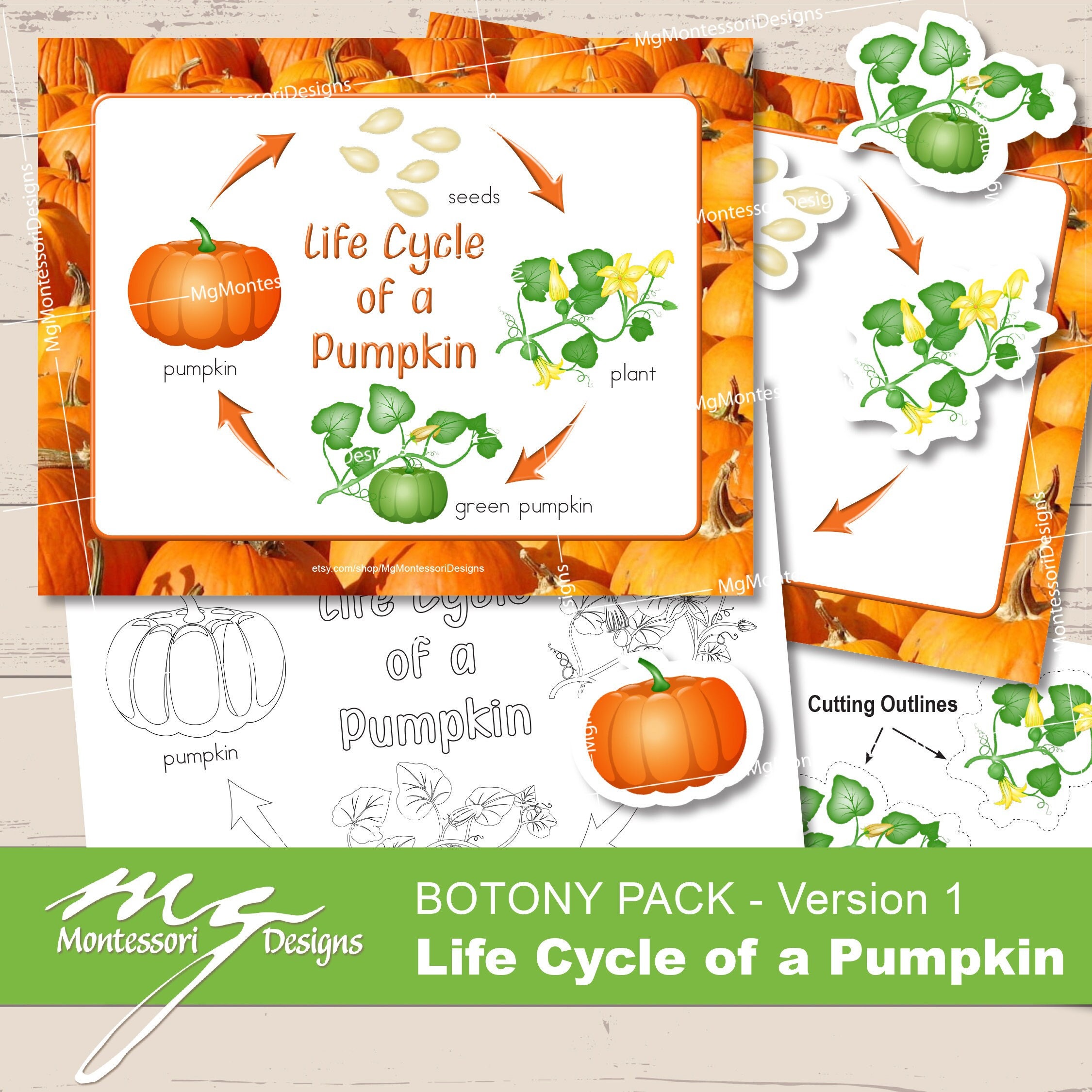Life Cycle of a Pumpkin Botany Pack Montessori Culture Nature Study ...