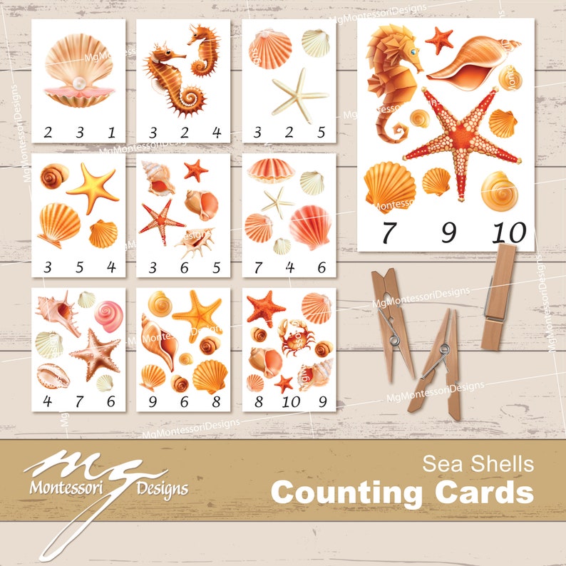 Sea Shells Counting Cards Clip Cards Montessori Printables Educational ...