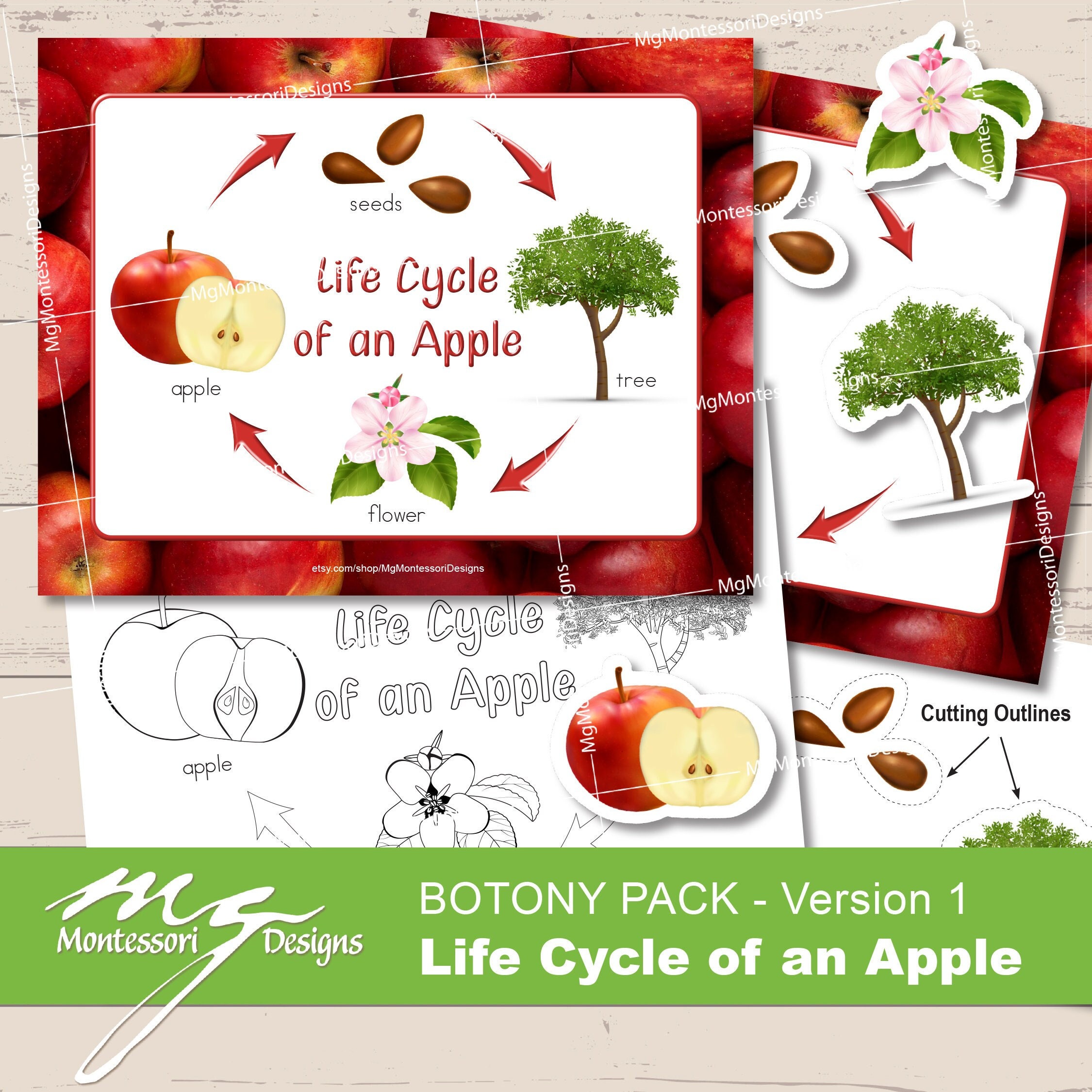 Life Cycle of an Apple Botany Pack Montessori Culture Nature Study ...