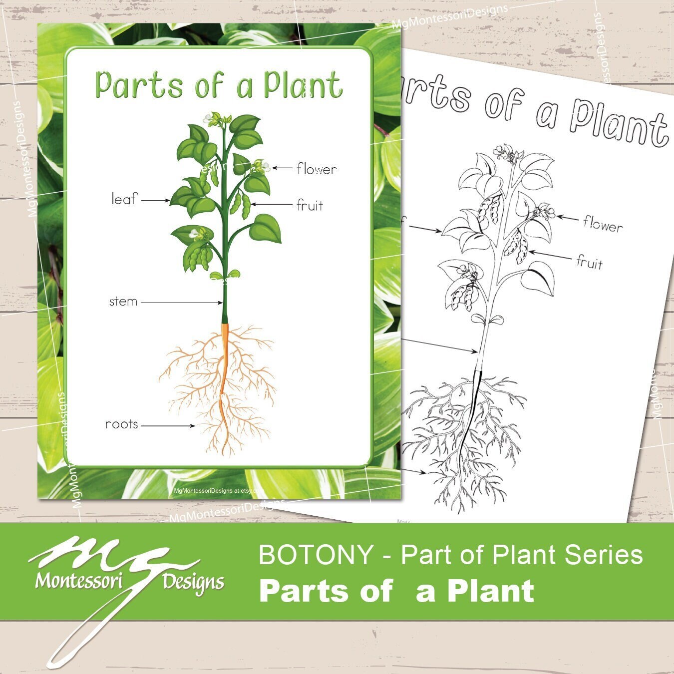 Parts of a Plant Botany Pack Montessori Culture Nature Study Posters ...