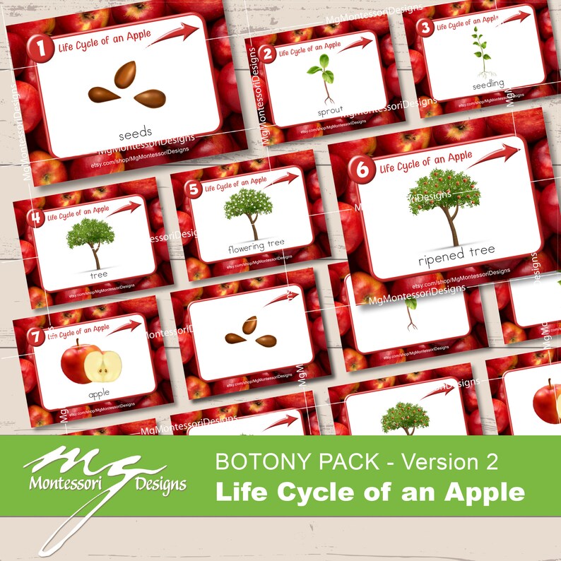 Life Cycle of an Apple Botany Pack Montessori Culture Nature Study ...