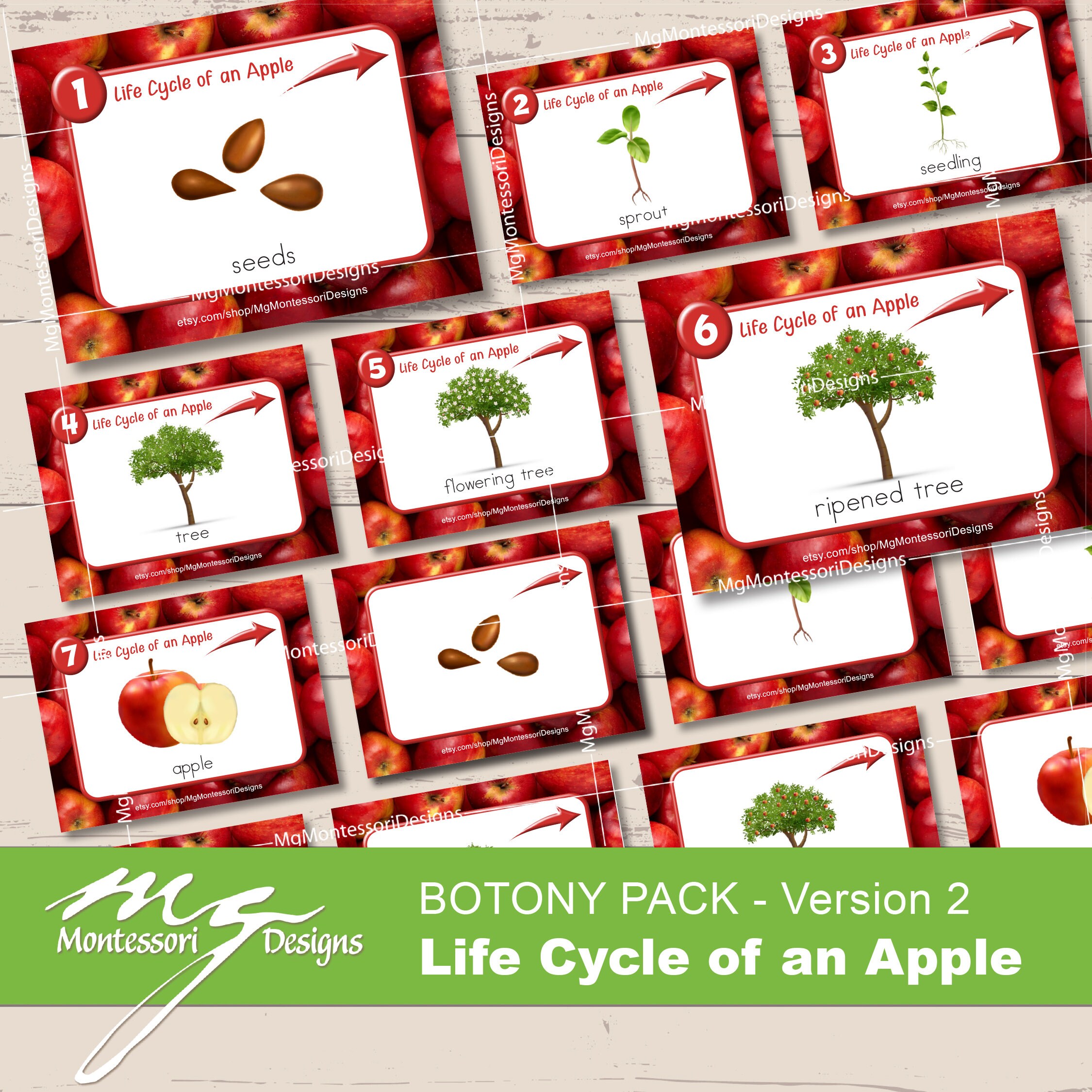 Life Cycle of an Apple Botany Pack Montessori Culture Nature Study ...