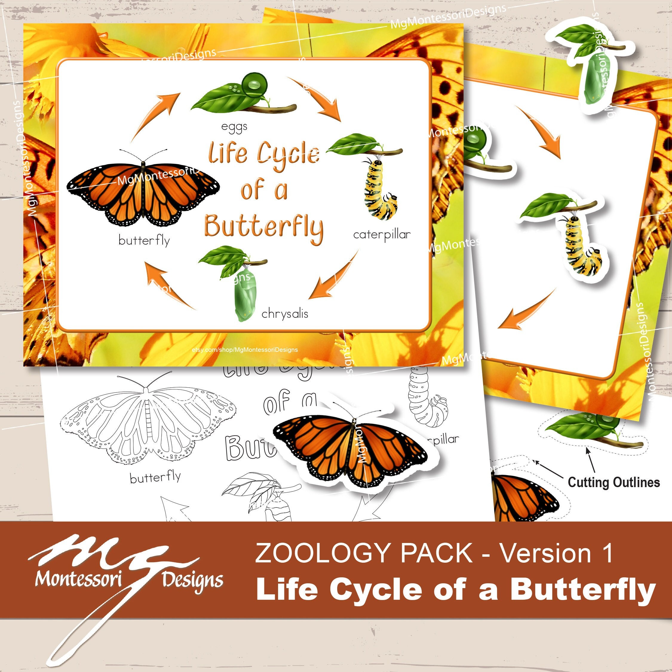 Life Cycle of a Butterfly Zoology Pack Montessori Culture Nature Study ...