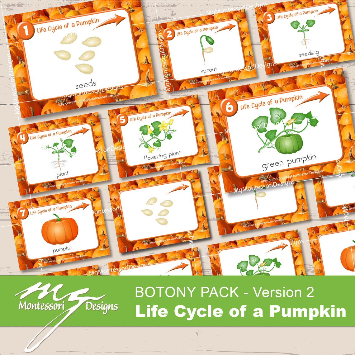 Life Cycle of a Pumpkin Botany Pack Montessori Culture Nature Study ...