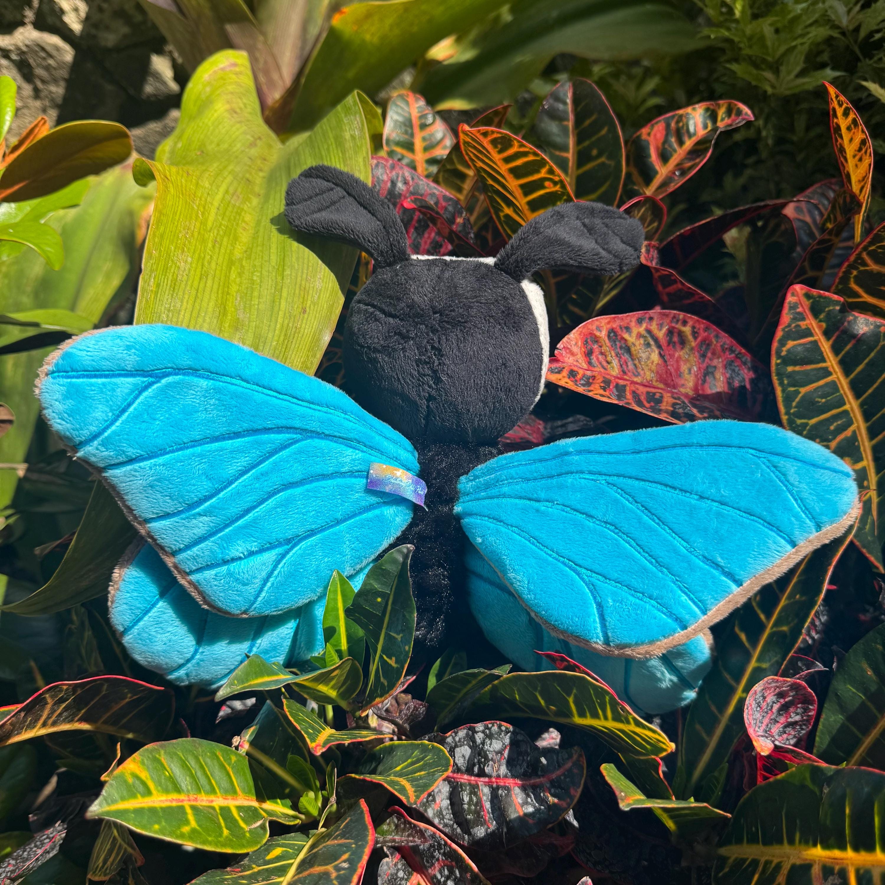Insect Anthro Plushies - Butterflies, Moths, and Mantis - Summer 2025 ...