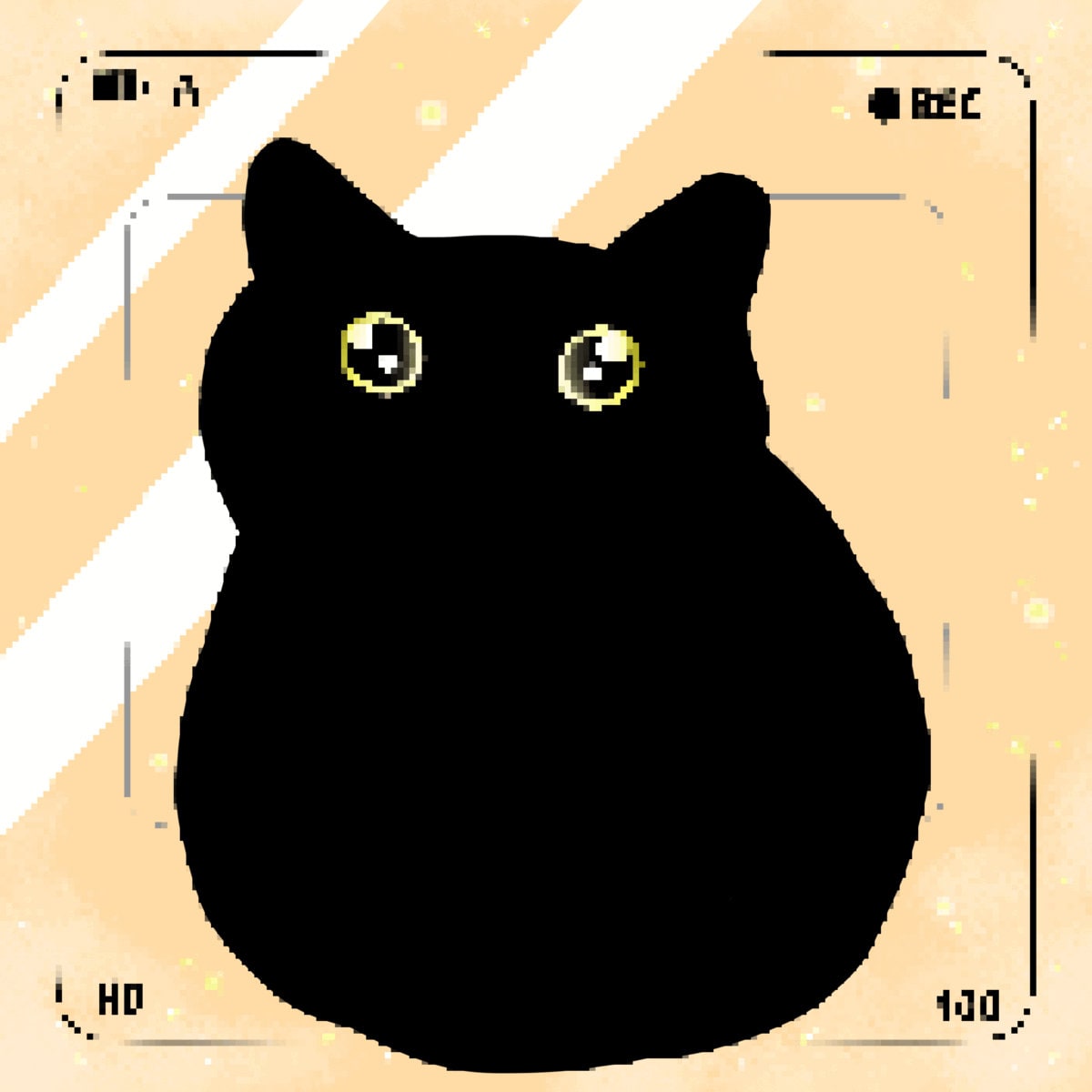 Cat Memes Gif Pack - Etsy