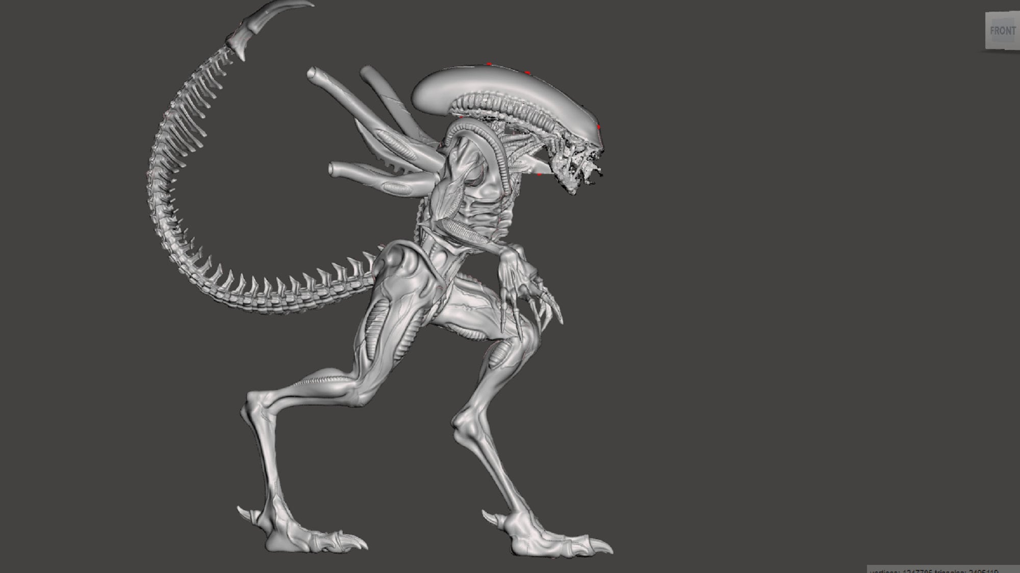 Alien Xenomorph Lifesize 1.1 for 3d Printing - Etsy