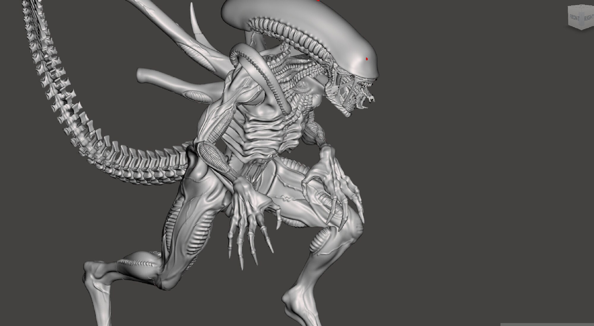 Alien Xenomorph Lifesize 1.1 for 3d Printing - Etsy