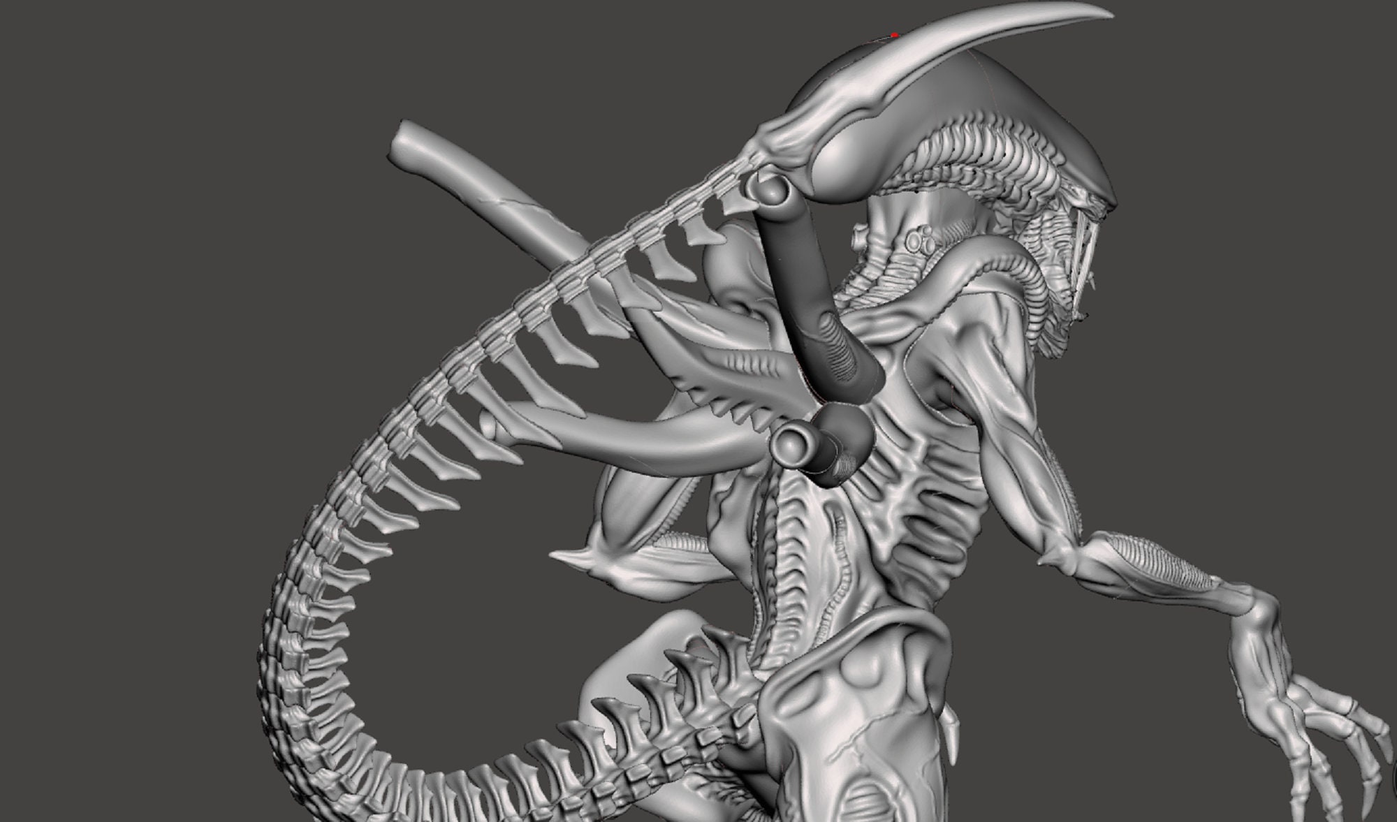 Alien Xenomorph Lifesize 1.1 for 3d Printing - Etsy
