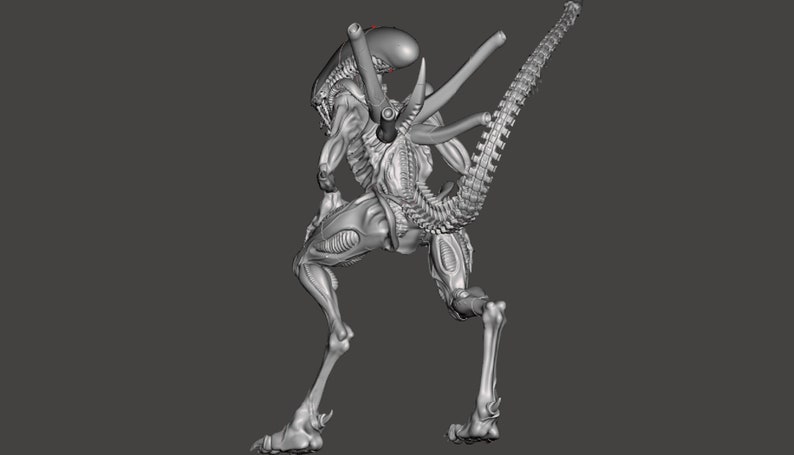 Alien Xenomorph Lifesize 1.1 for 3d Printing - Etsy