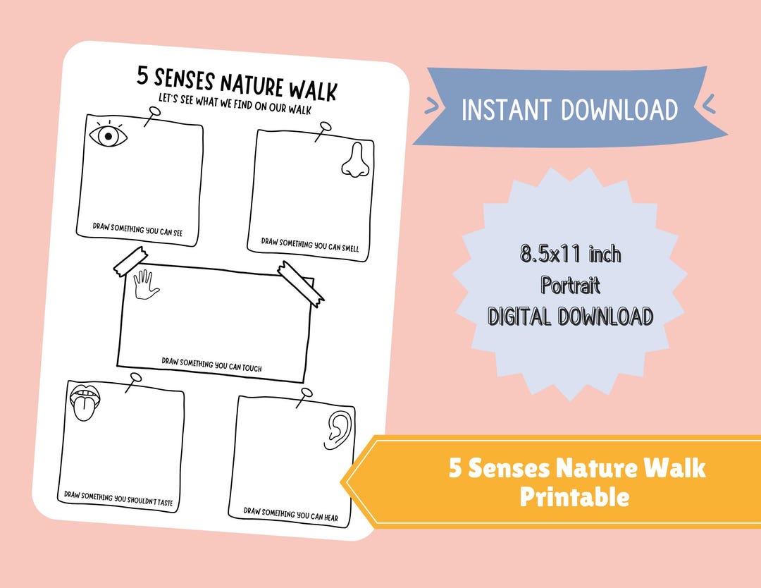 5 Senses Nature Walk, 5 Senses Worksheet, Preschool Worksheet ...