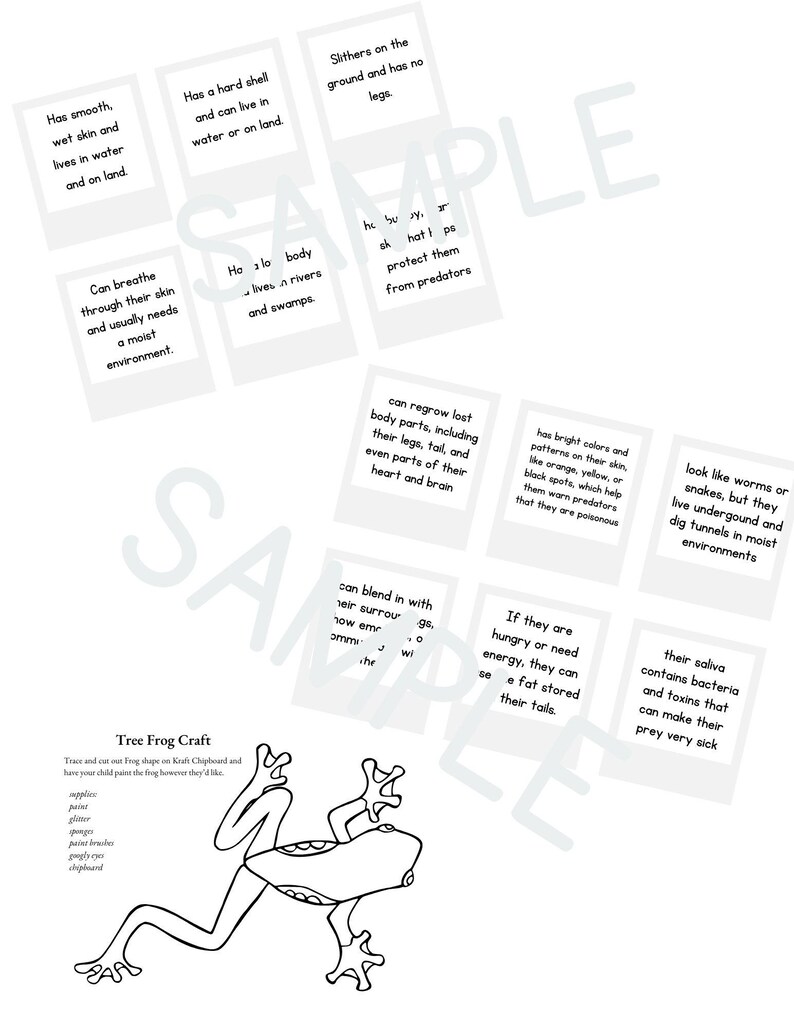 Reptile & Amphibian Unit Printable: Homeschool Activity (PDF) - Etsy