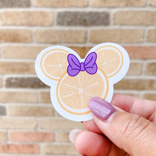 Minnie Water Bottle - Etsy