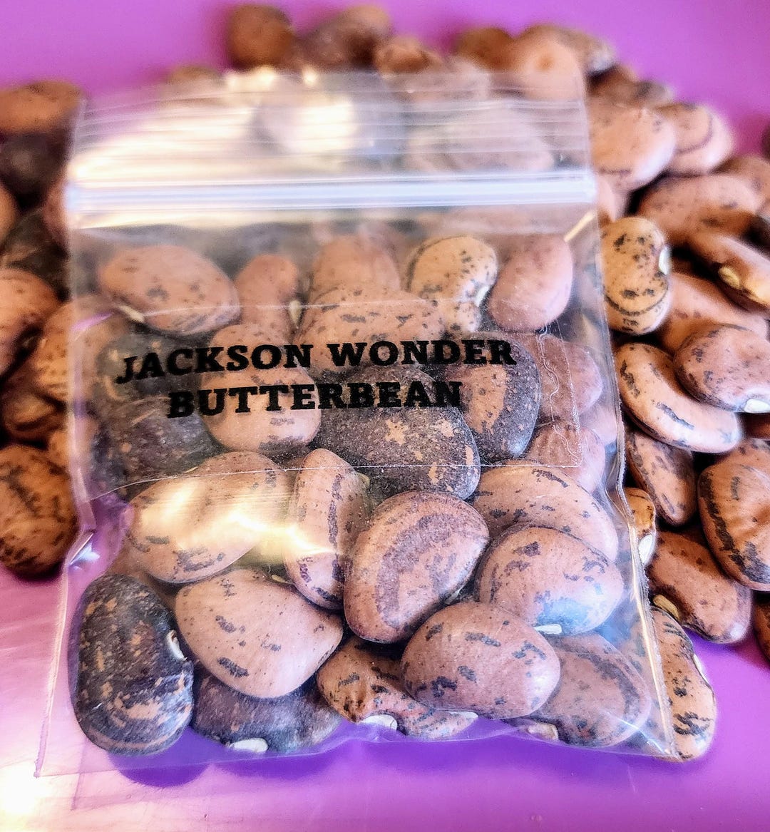 Jackson Wonder Butterbean Seeds: Heirloom Bush Lima Bean - Etsy