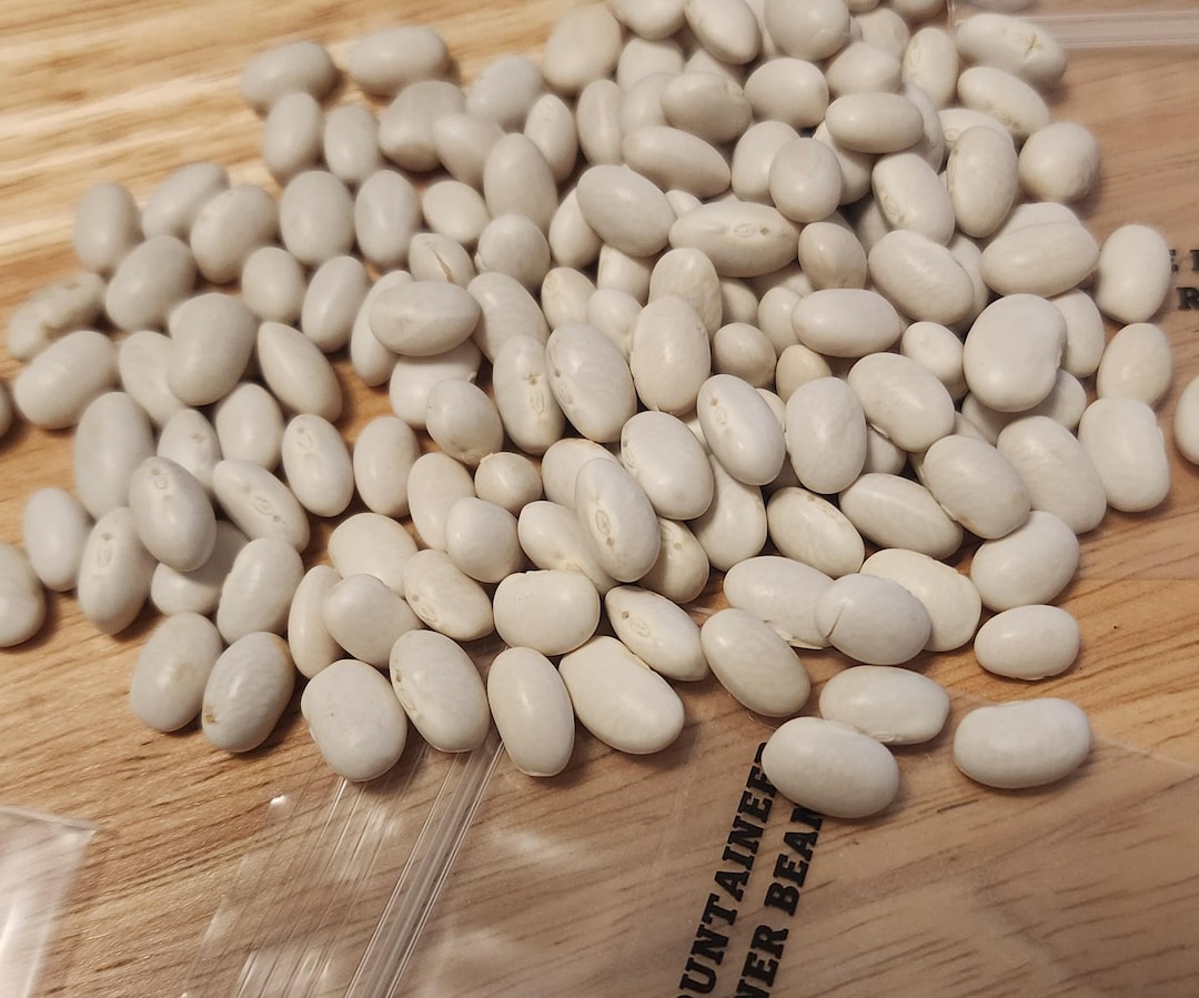 Mountaineer Half Runner Bean Seeds: German Heirloom, Open Pollinated - Etsy