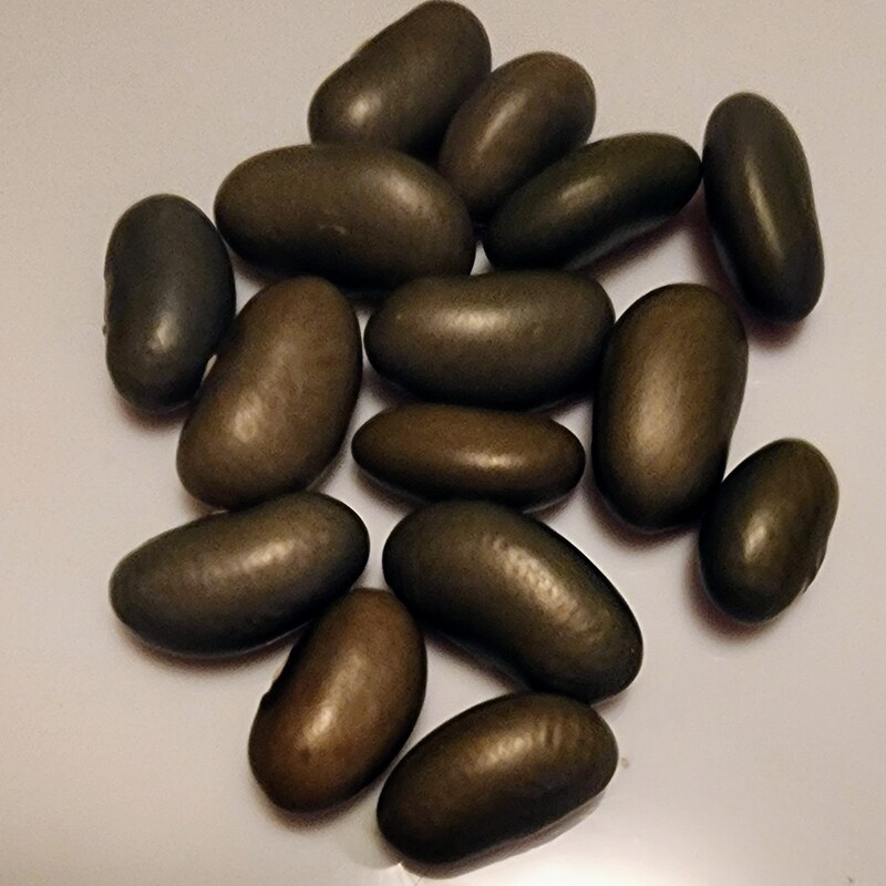 MahoganyRootsStudio - Etsy