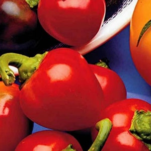 Red Cherry Sweet Pepper Seeds, Heirloom, Compact, Container Friendly ...
