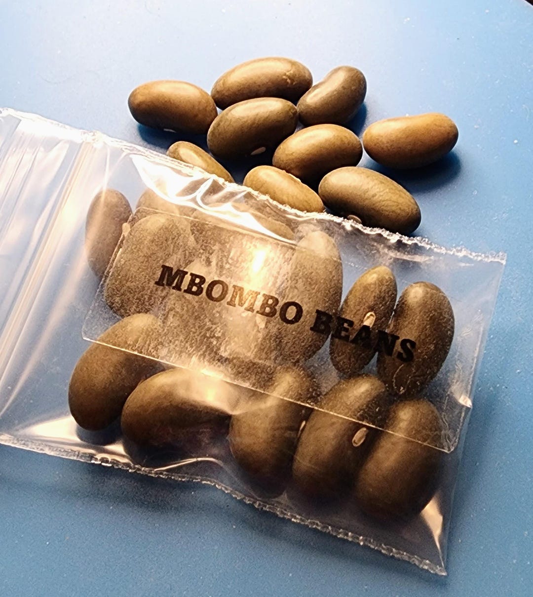 Mbombo Bean Seeds, Heirloom Seeds, Heat & Drought Tolerant, - Etsy
