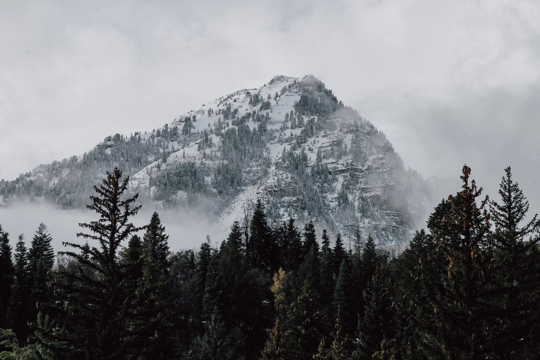 Wasatch National Forest - Utah Landscape - Rocky Mountains - Mount ...