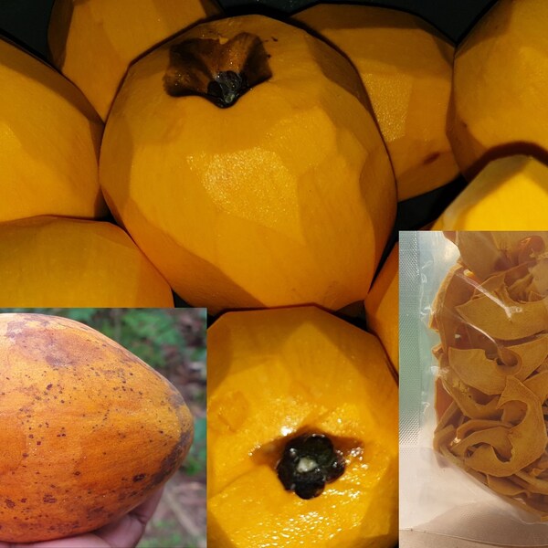 Fruit Canisters - Etsy