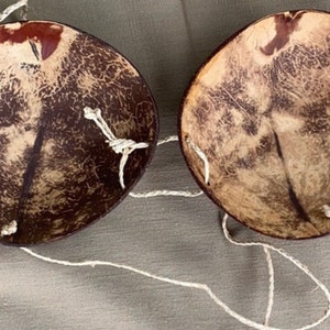 Coconut Bra Brassiere Hawaiian Coconut Bra Hula Girl Dancer - Etsy