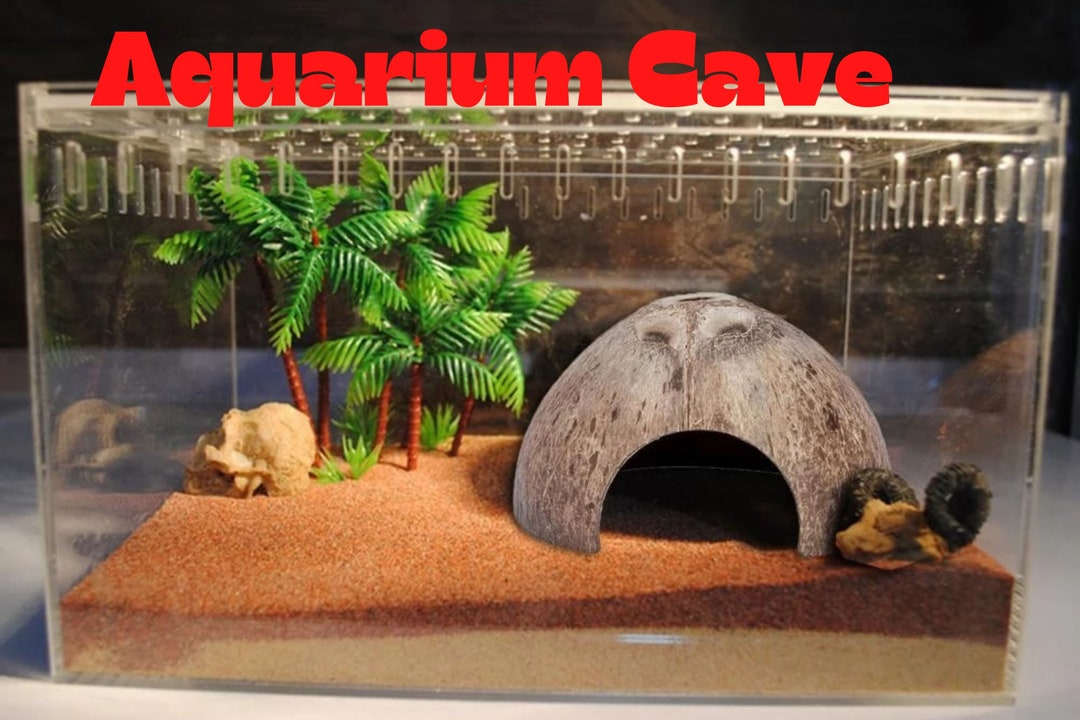 Aquarium Coconut Cave for Betta Fish Catfish Aquarium Decoration - Etsy