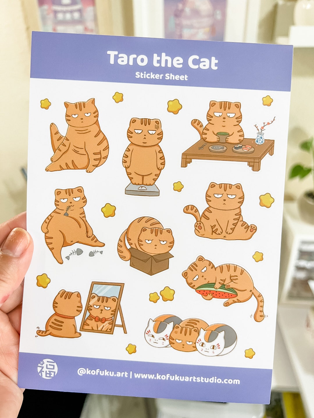 Grumpy Orange Cat Sticker Sheet: Taro Chonky Cat Stickers (5x7") - Etsy