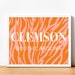 Preppy Clemson Location Print, Dorm Decor, Clemson South Carolina, Apartment Decor, College Wall ...