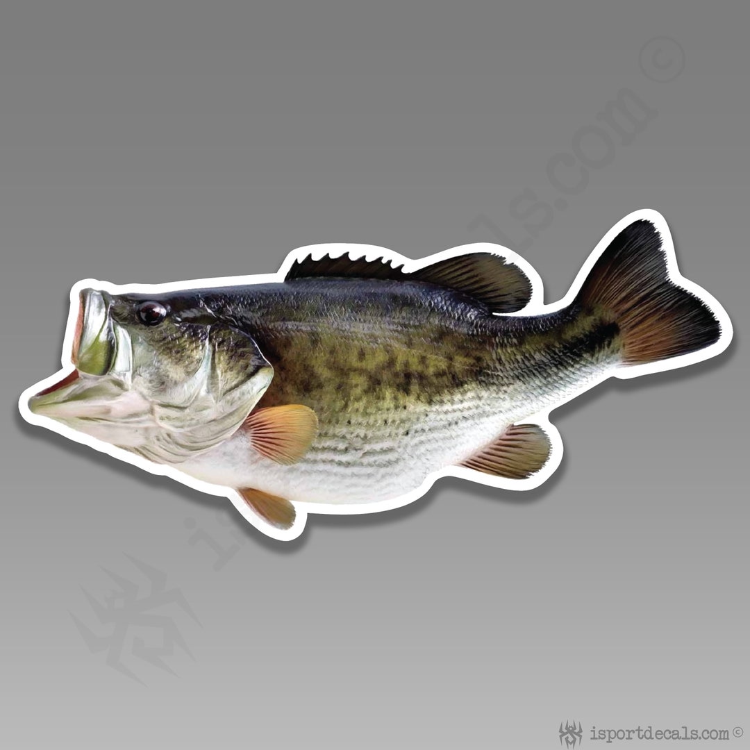 Bass Fish Fisherman Fishing Angler Sportsman Car Vinyl Decal Sticker ...