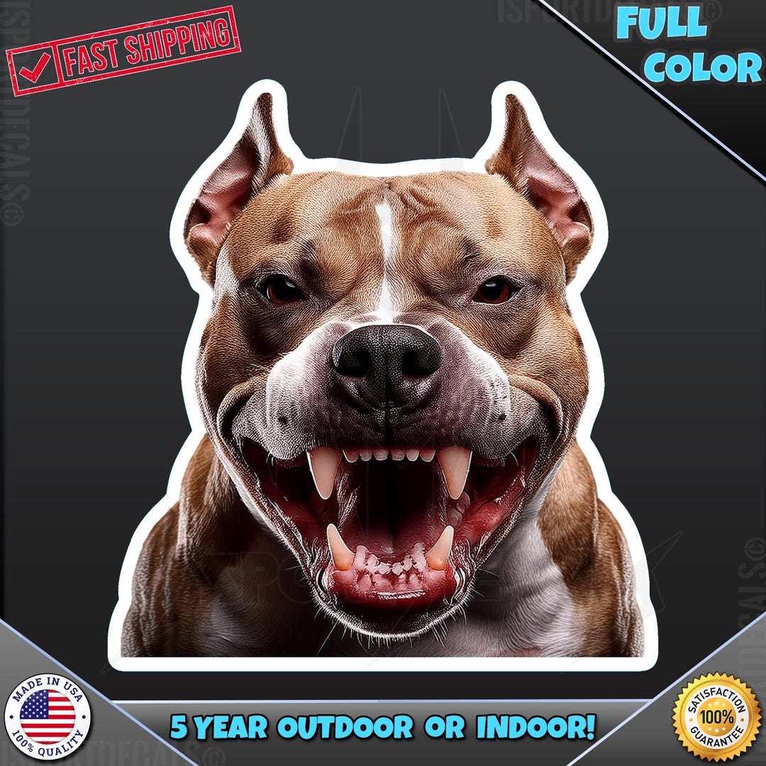 Pitbull Dog Showing Teeth Aggressive Car Waterproof Vinyl Decal Sticker ...