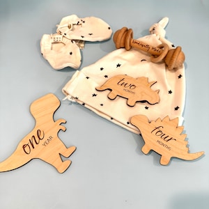 Dinosaur Milestone Disc | Minimalistic Dino Birth Announcement | Wooden ...