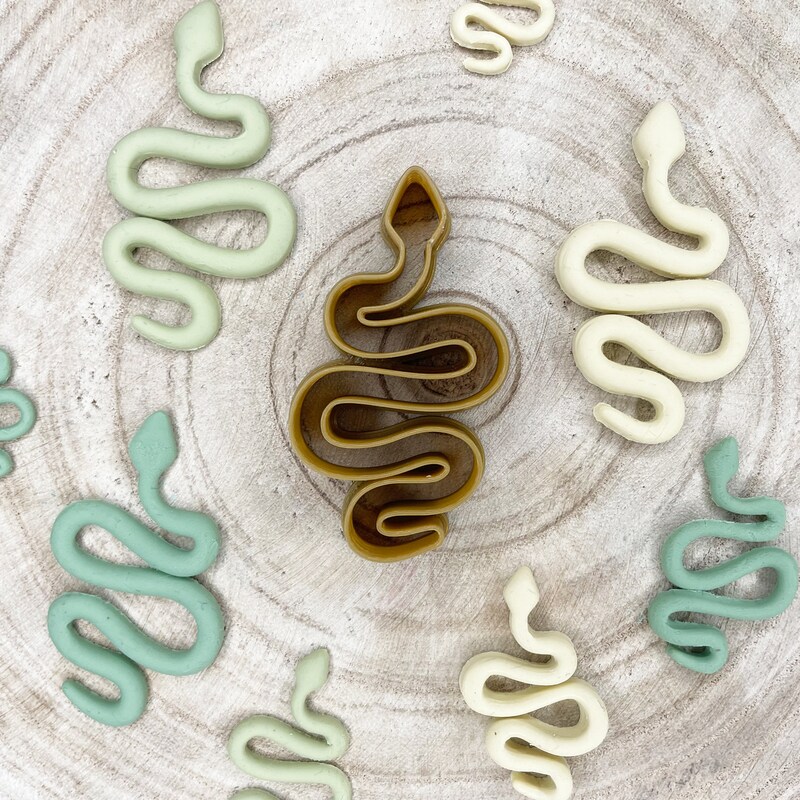 Snake Cookies - Etsy