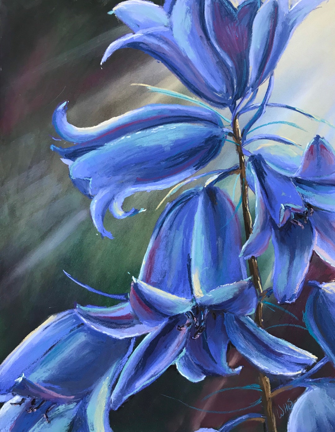 Original Pastel Bluebell Spring Flowers 50x40cm Unframed - Etsy UK