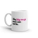 I Like Big Mugs and I Can Not Lie Mug, Funny Quote Mug, Gifts for Tea ...